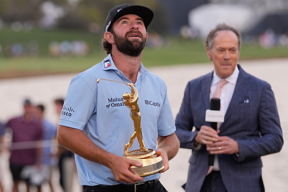 Cameron Young is clutch on the island green and rallies to win The ...