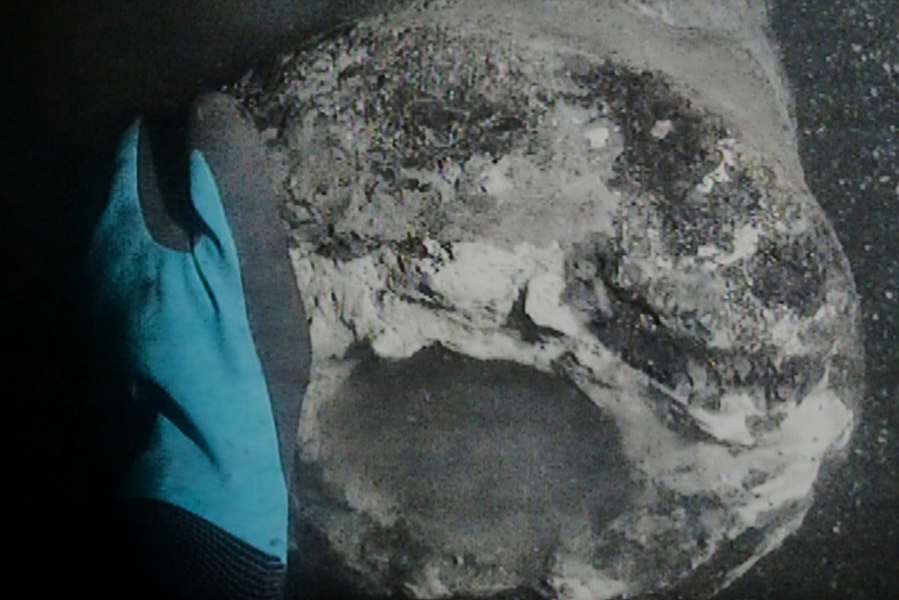 Danish warship sunk by Nelson's British fleet discovered after 225 ...