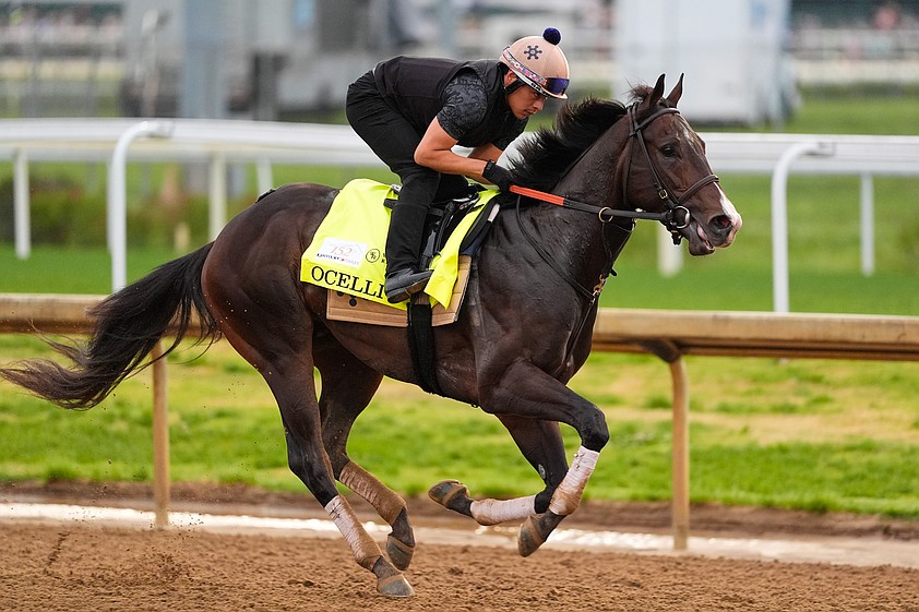 Fulleffort scratched from Kentucky Derby, bringing Ocelli into race ...