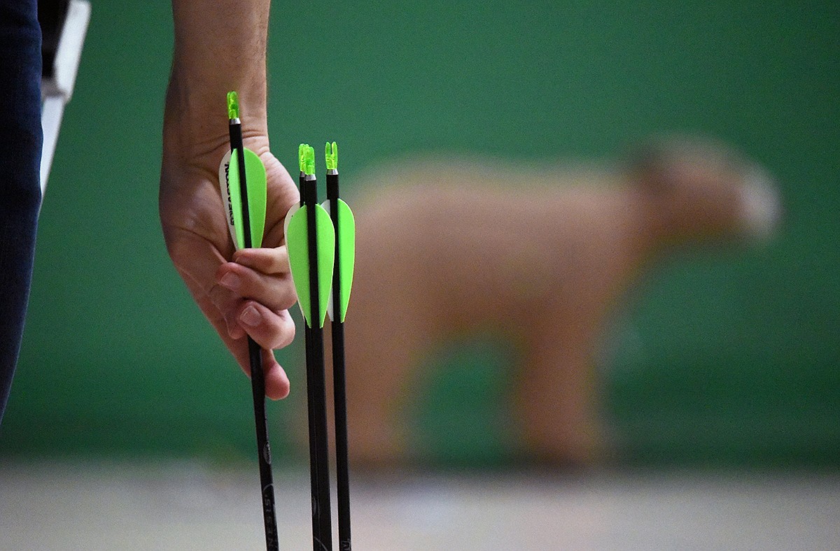 Case: Bow up this summer so your arrows shoot straight come fall ...