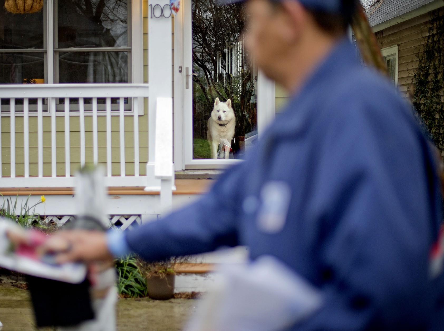 Letter to the editor: Chattanooga postmaster urges safety around dogs ...
