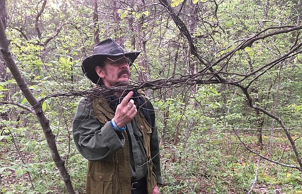 Chattanooga area, North Georgia like ‘sanctuaries’ for Big Foot ...