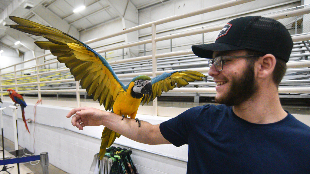 Photos: Repticon at the Camp Jordan Arena | Chattanooga Times Free Press