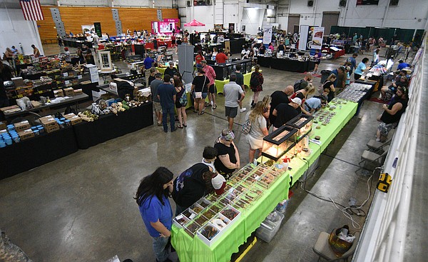 Photos: Repticon at the Camp Jordan Arena | Chattanooga Times Free Press