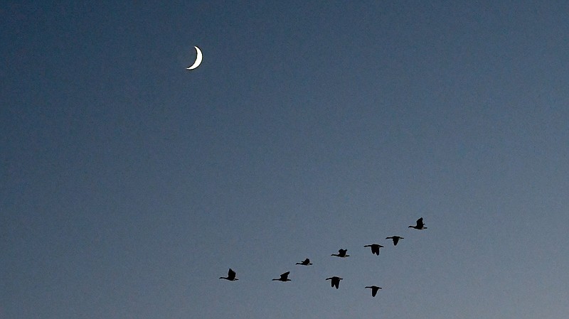 Photo of the Day | Chattanooga Times Free Press