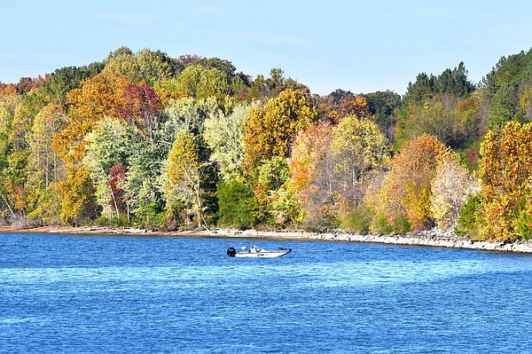 Harrison area group petitions for charter school to combat "Marxist ...