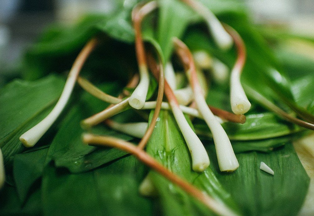 Ramp season is here | Chattanooga Times Free Press