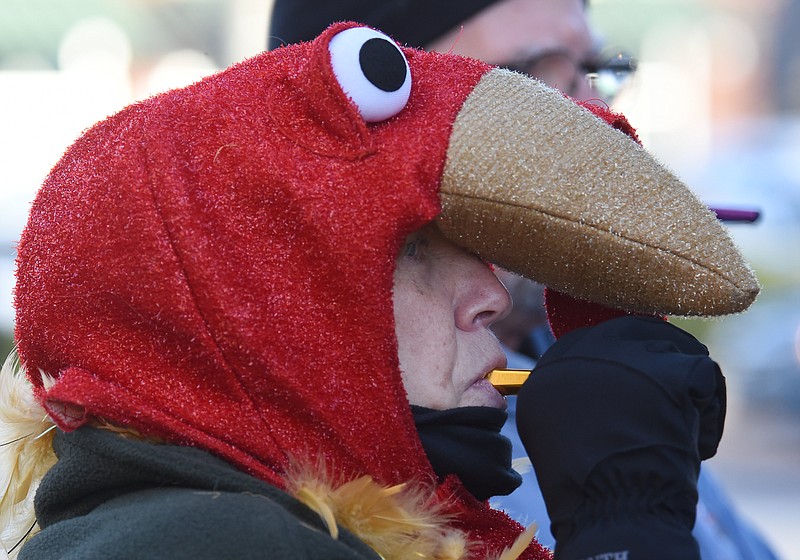 Photo of the Day | Chattanooga Times Free Press