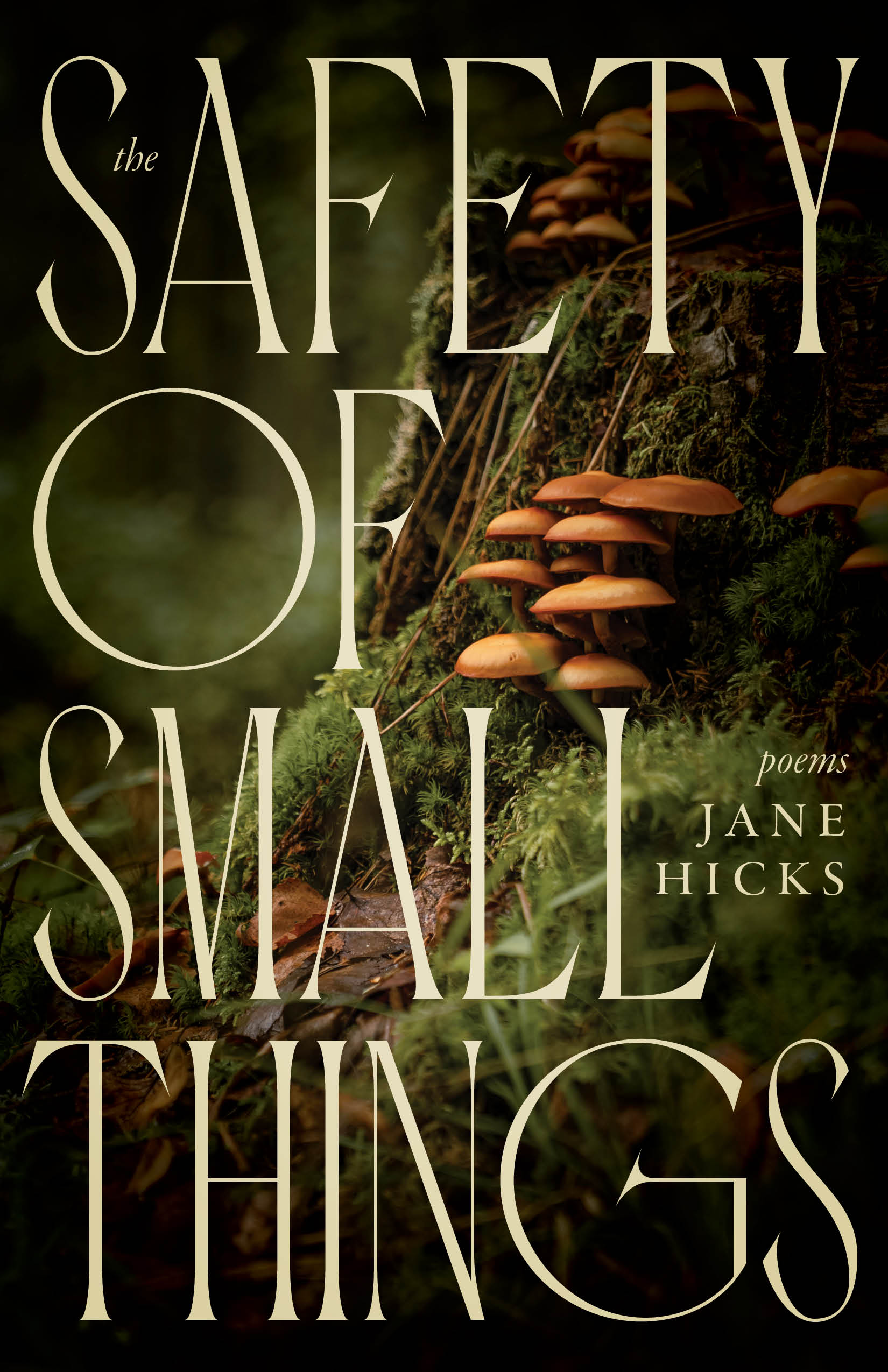 Review: Poet Jane Hicks uncovers hidden worlds in ‘The Safety of Small ...