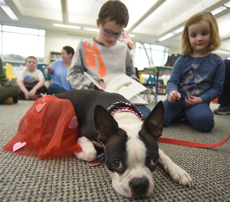 Photo of the Day | Chattanooga Times Free Press