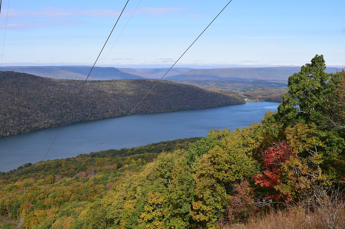 Thornton files libel suit over social media comments on River Gorge ...