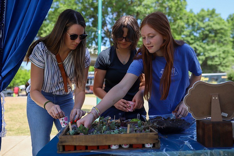 Photo of the Day | Chattanooga Times Free Press