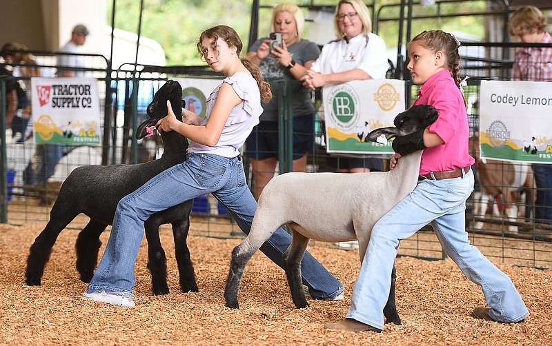 Photo of the Day | Chattanooga Times Free Press