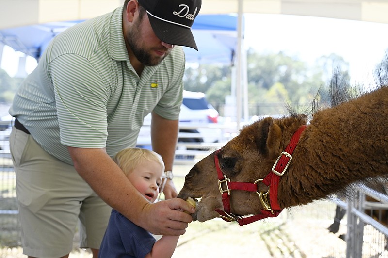 Photo of the Day | Chattanooga Times Free Press