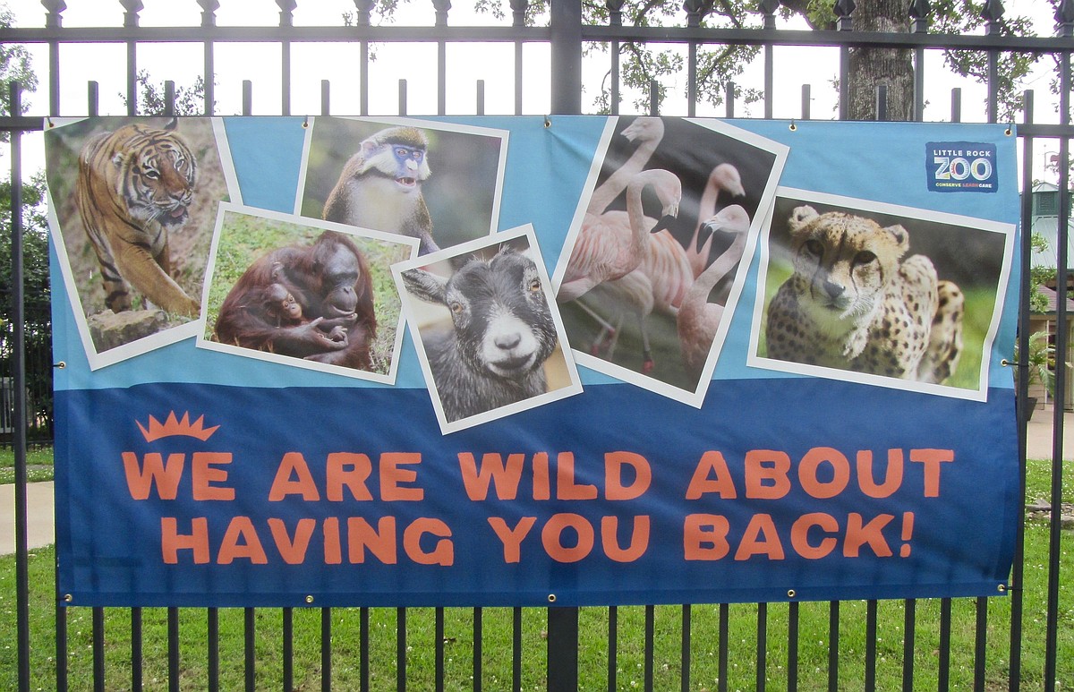 ARKANSAS SIGHTSEEING: Little Rock Zoo reopens to eager crowds, animals ...