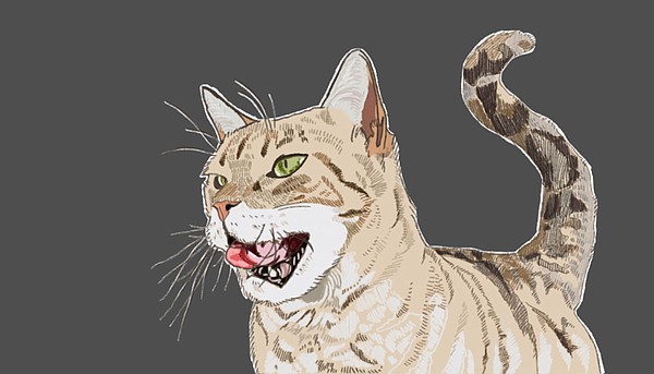 ASK THE VET: Cats drool, but sometimes drooling is a symptom ...