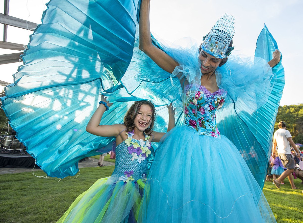 Fireflies Count: Numbers dwindling, so assessment needed | The Arkansas ...