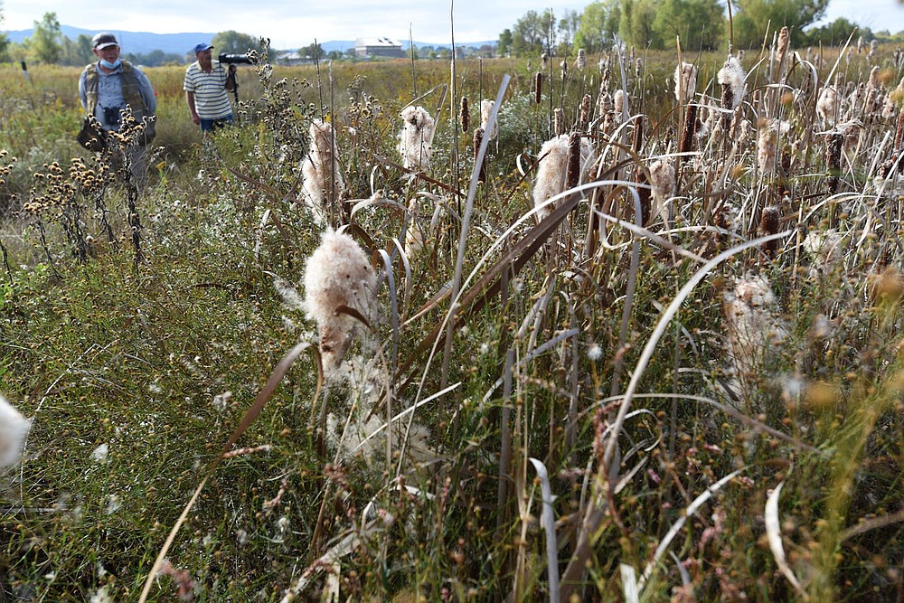 VIDEO: Nature thrives at Woolsey Wet Prairie