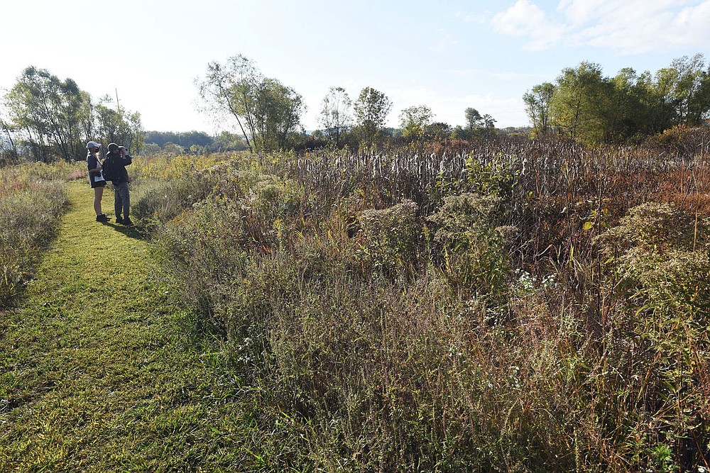 VIDEO: Nature thrives at Woolsey Wet Prairie