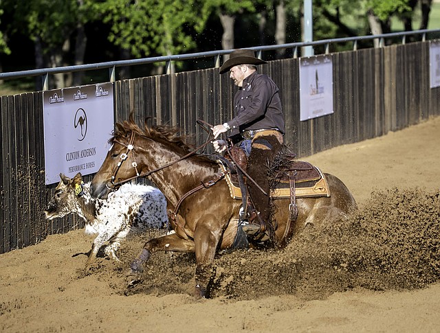 Horse Trainer Clinton Anderson Moves Ranch To Farmington | The ...