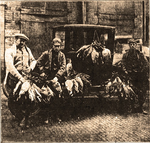 OLD NEWS: Quack-quack — boom! boom! — quack-quack — boom! | The ...