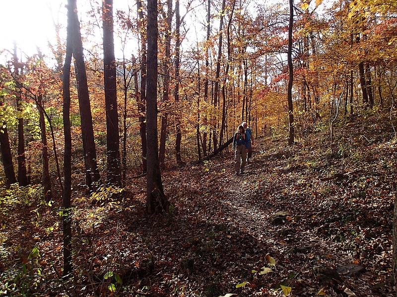 Trail follows clear water | Northwest Arkansas Democrat-Gazette