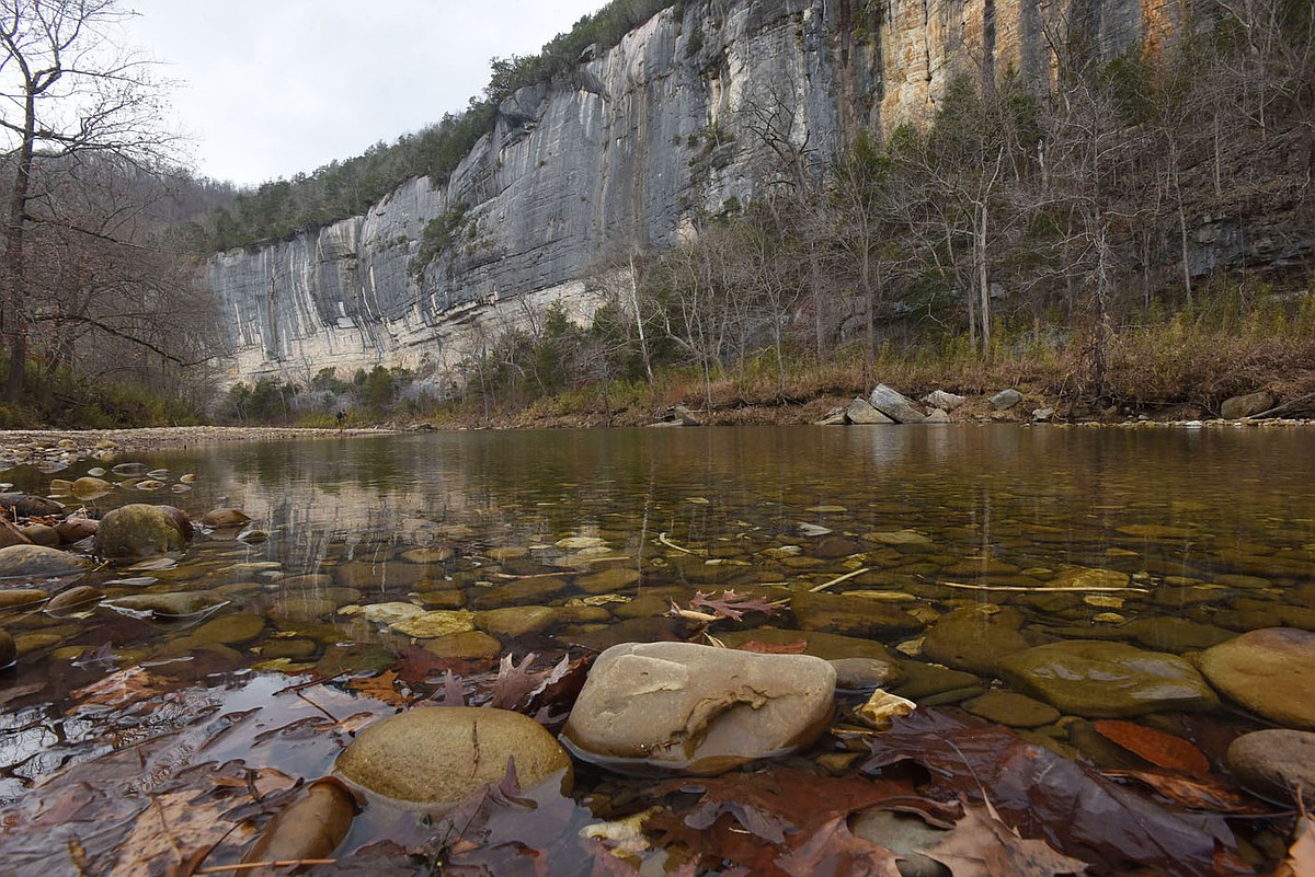 Roark Bluff welcomes wanderers | The Arkansas Democrat-Gazette ...