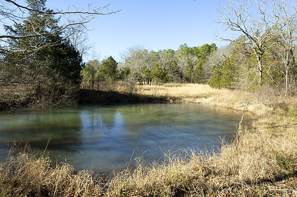 WATCH: Old logging town has rich, interesting history | Hot Springs ...