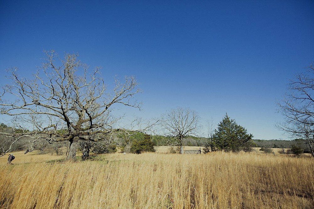 WATCH: Old logging town has rich, interesting history