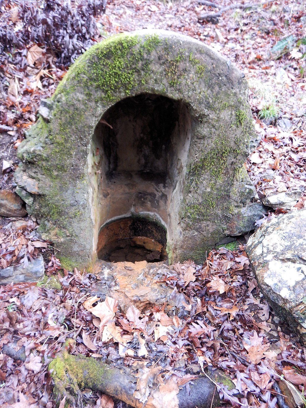 Cluster Springs topic of next historical society meeting