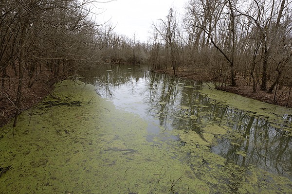 WATCH: Delta nature center offers close-up view of wildlife | Hot ...