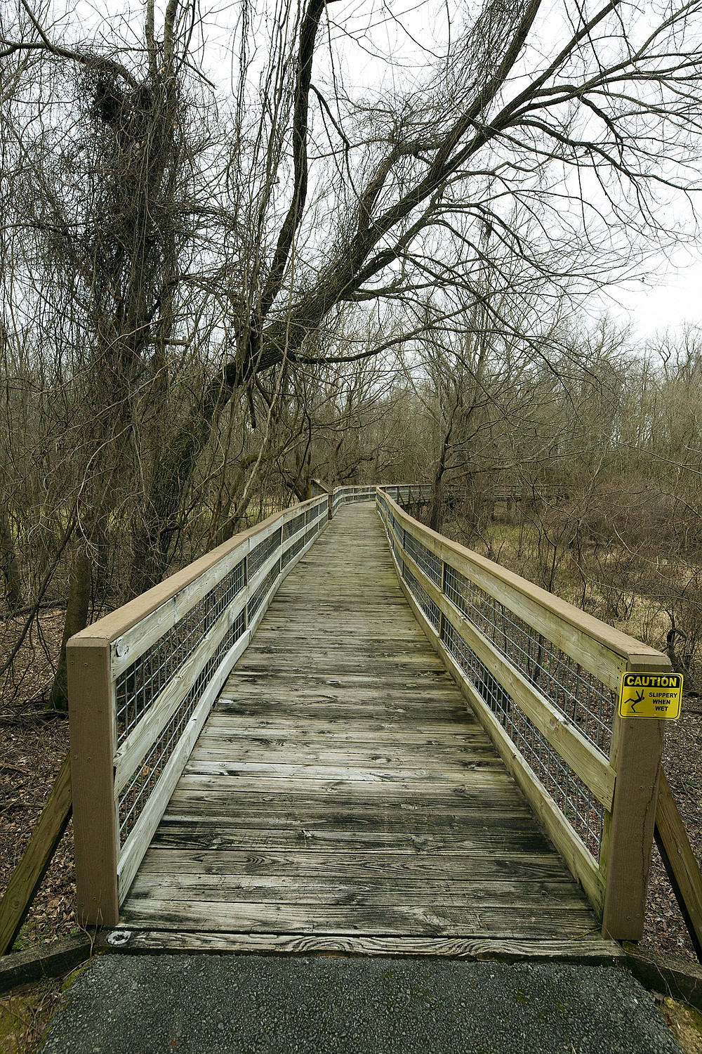 WATCH: Delta nature center offers close-up view of wildlife
