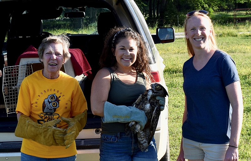 For the birds: Lynn Sciumbato, Emily Warman help and heal | The ...