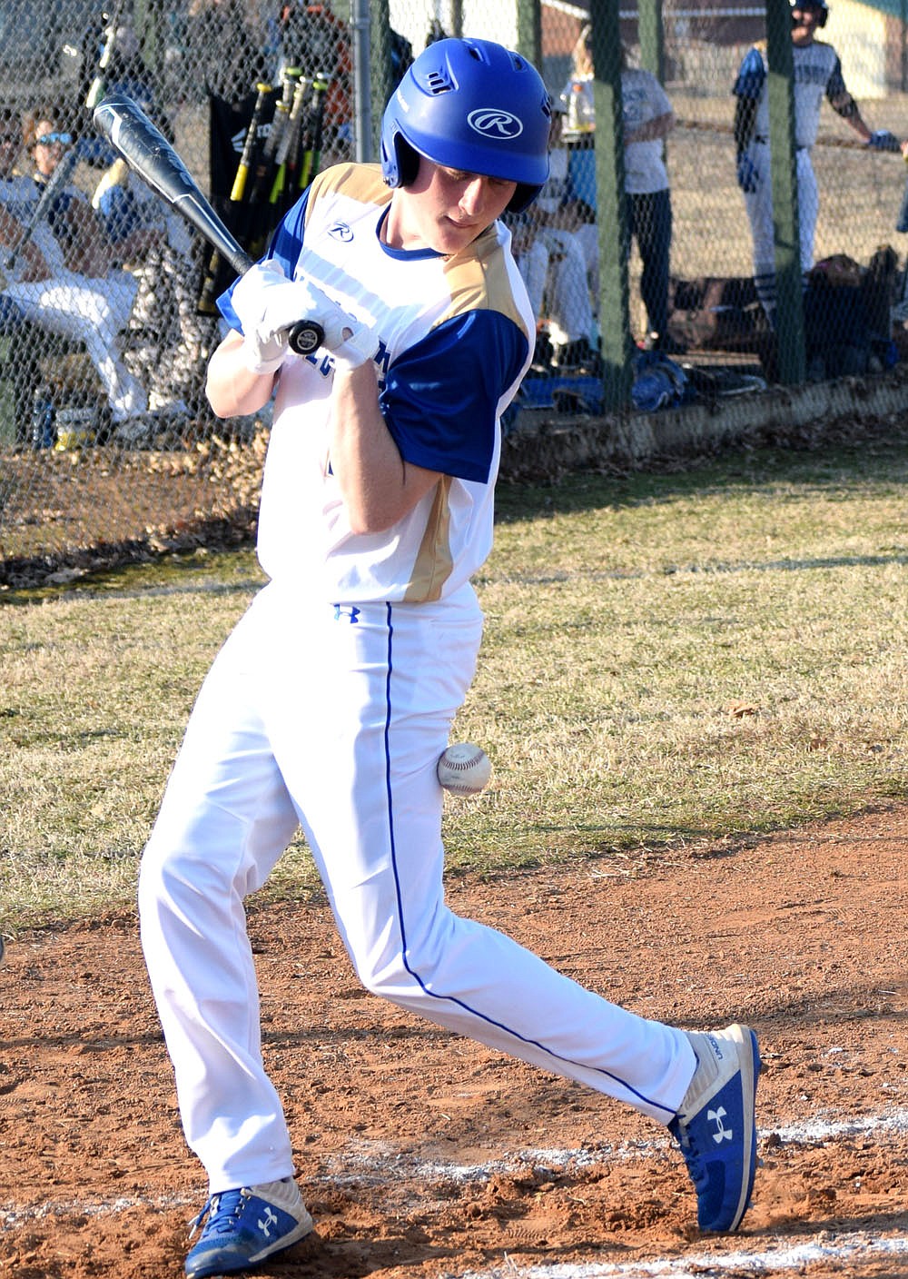 Bulldogs get stung by Hornets in opening game