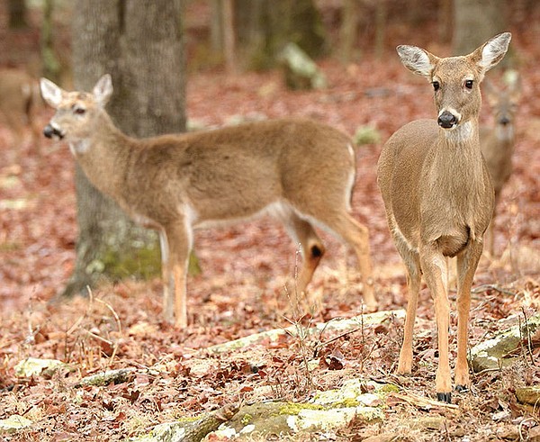 Amanda Bancroft: Go outside in different weather for different experiences