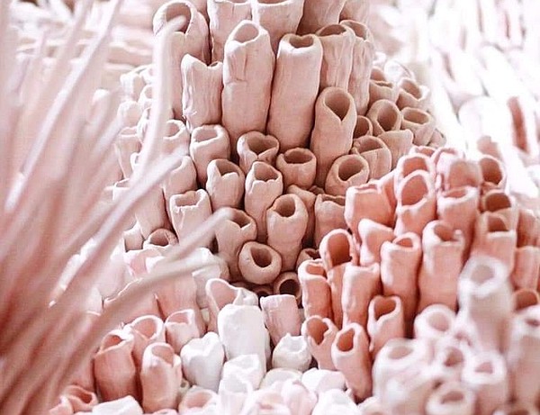 ENTERTAINMENT NOTES: Art and music abound in and outside of Little Rock