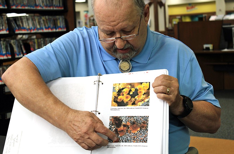 WATCH: Rare minerals named for local geologists | Hot Springs Sentinel ...