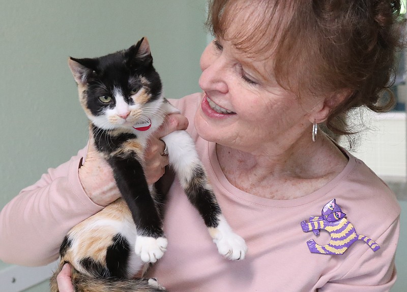 WATCH: Cat shelter issues plea for volunteers | Hot Springs Sentinel Record
