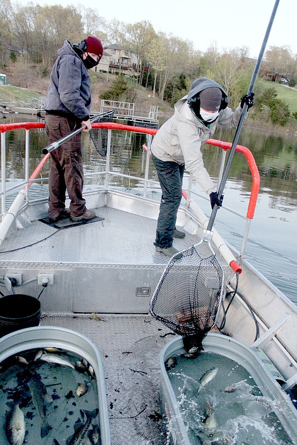 Electrofishing helps measure fish populations