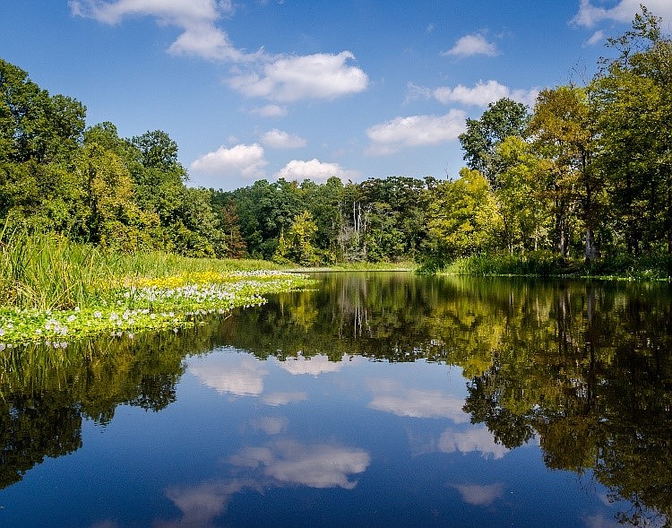 Explore resilient city like a tourist | The Arkansas Democrat-Gazette ...