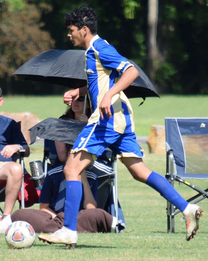 Bulldogs eliminated by Wildcats at state tourney | Westside Eagle Observer