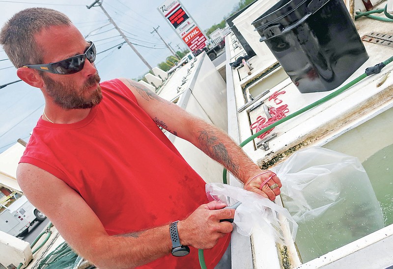 Arkansas father-son duo deliver fish to Virginia | The Arkansas ...