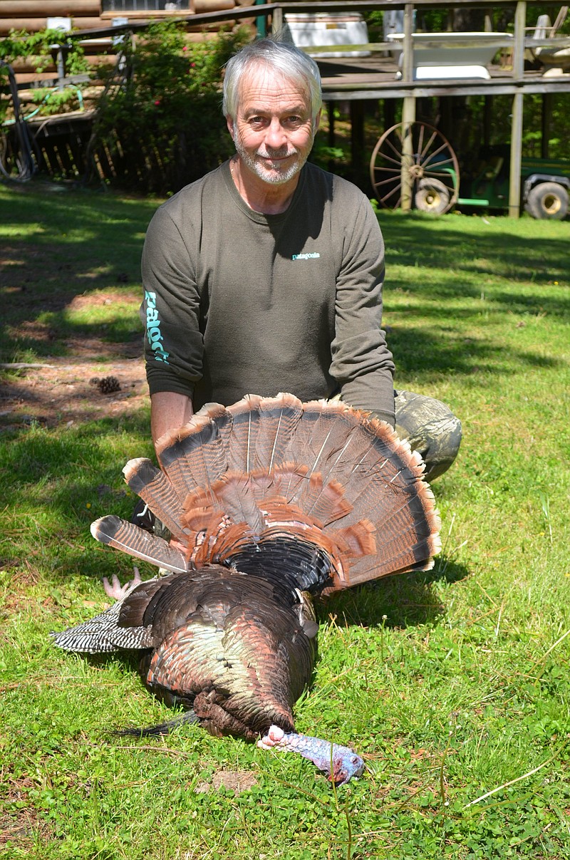 Birds, cold snap alter spring turkey season | Pine Bluff Commercial News