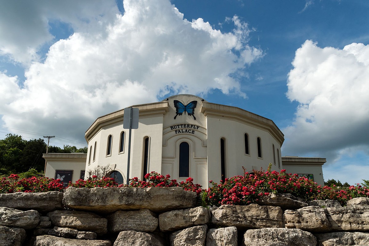 Flight Of The Butterflies: Branson attraction also helps change the ...