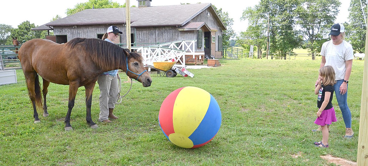 Playing ball and riding horses is fun; Therapy is hidden in activities ...