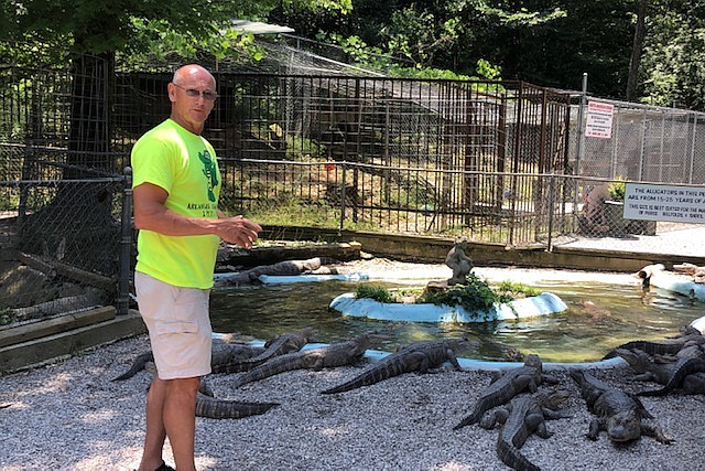 WATCH: Residents say they saw alligator near RV resort