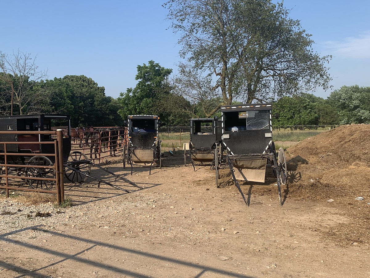 Hundreds Flock To Amish Fish Fry | The McDonald County Press