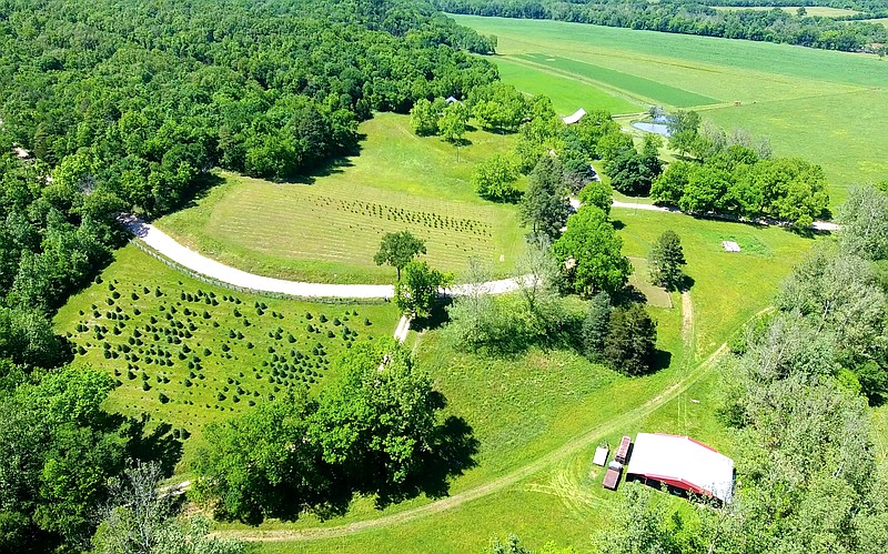 The Manning Farm: seven generations and counting | The McDonald County ...