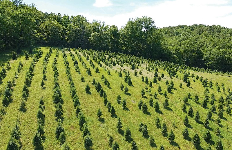 The Manning Farm: seven generations and counting | The McDonald County ...