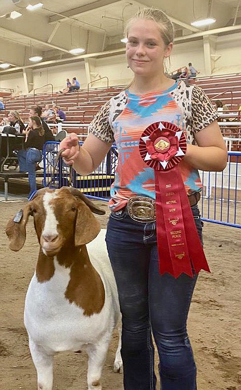 Taylor family wins national awards with goats